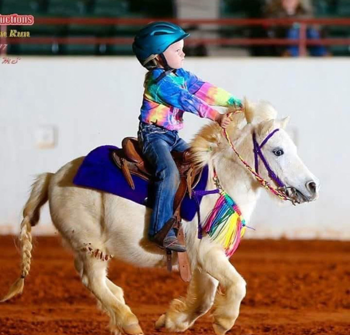 Pony tack – Tiffanys Braided Tack