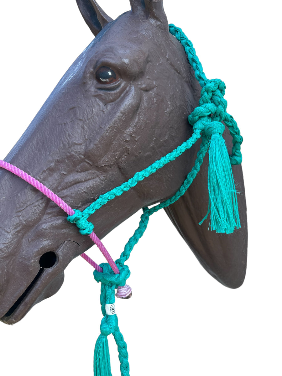 Lariat mule tape horse halter with lead pink and teal – Tiffanys ...